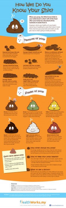 Internal Affairs - How to check your poop is healthy - Self-Reliance ...